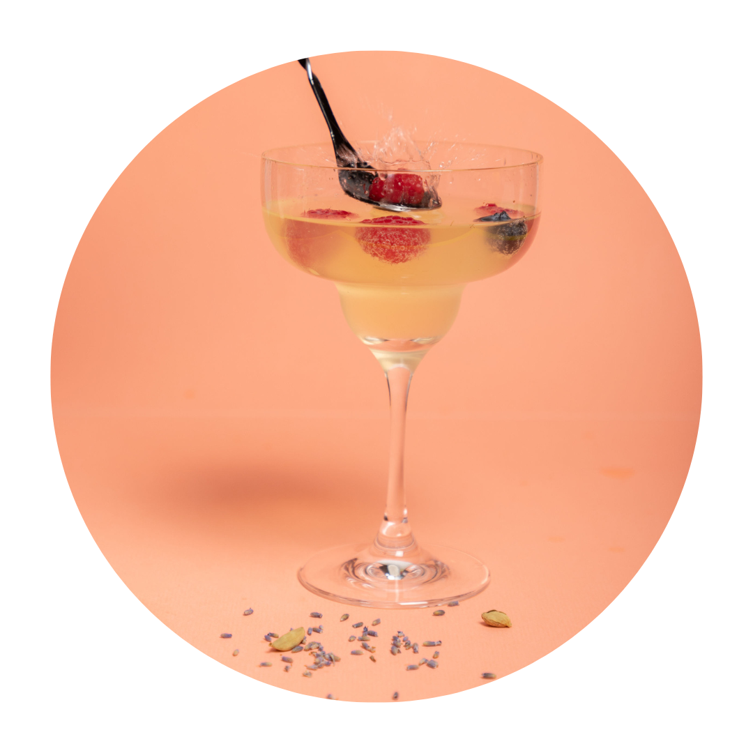 Dr. Gingery – Dr.Ginger